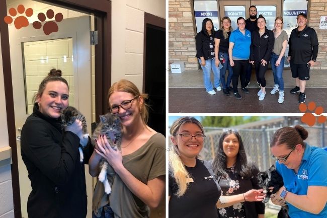 Our outstanding team did a volunteer day at the DFW Humane Society.